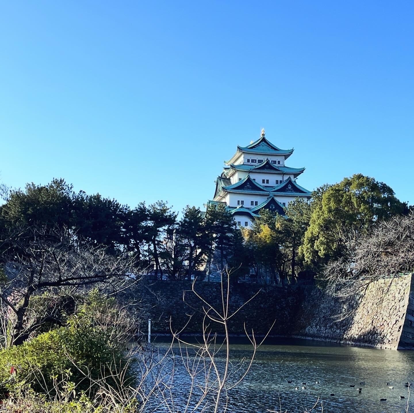 Sachan in Europe agrandie – découvertes et rencontres, tous les jours…